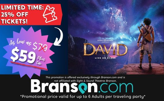 David | Branson.com